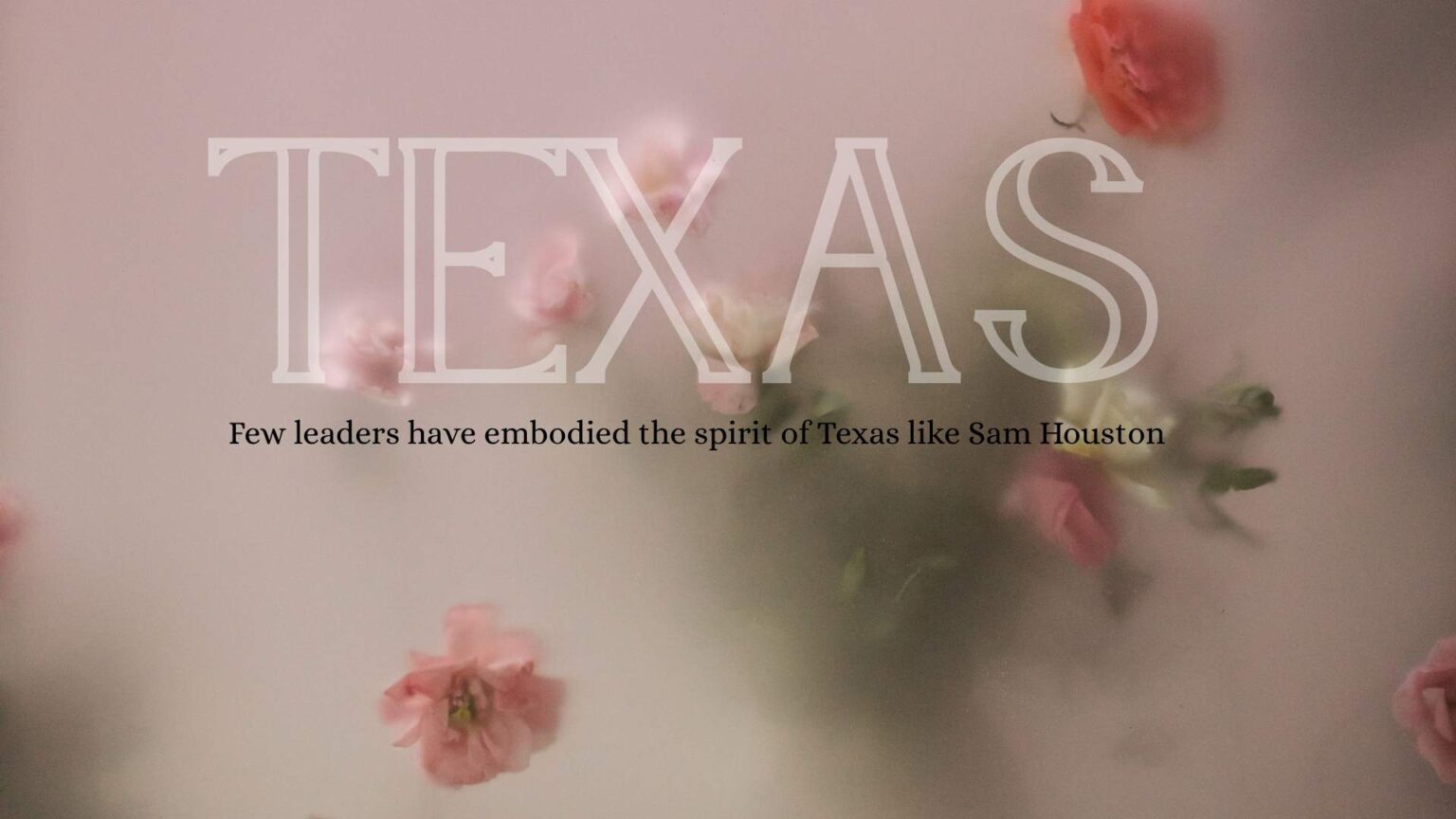 Sam Houston Quotes That Define True Texas Leadership - Quotes Creations