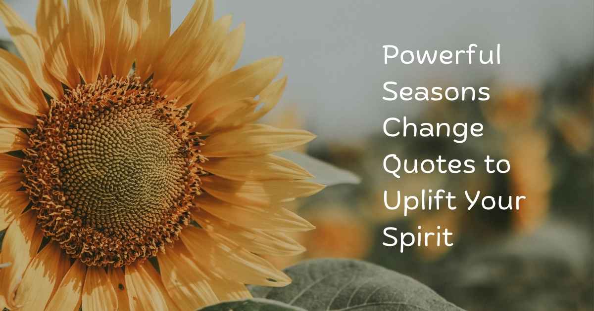 100+ Seasons Change Quotes to Inspire Growth and Courage - Quotes Creations