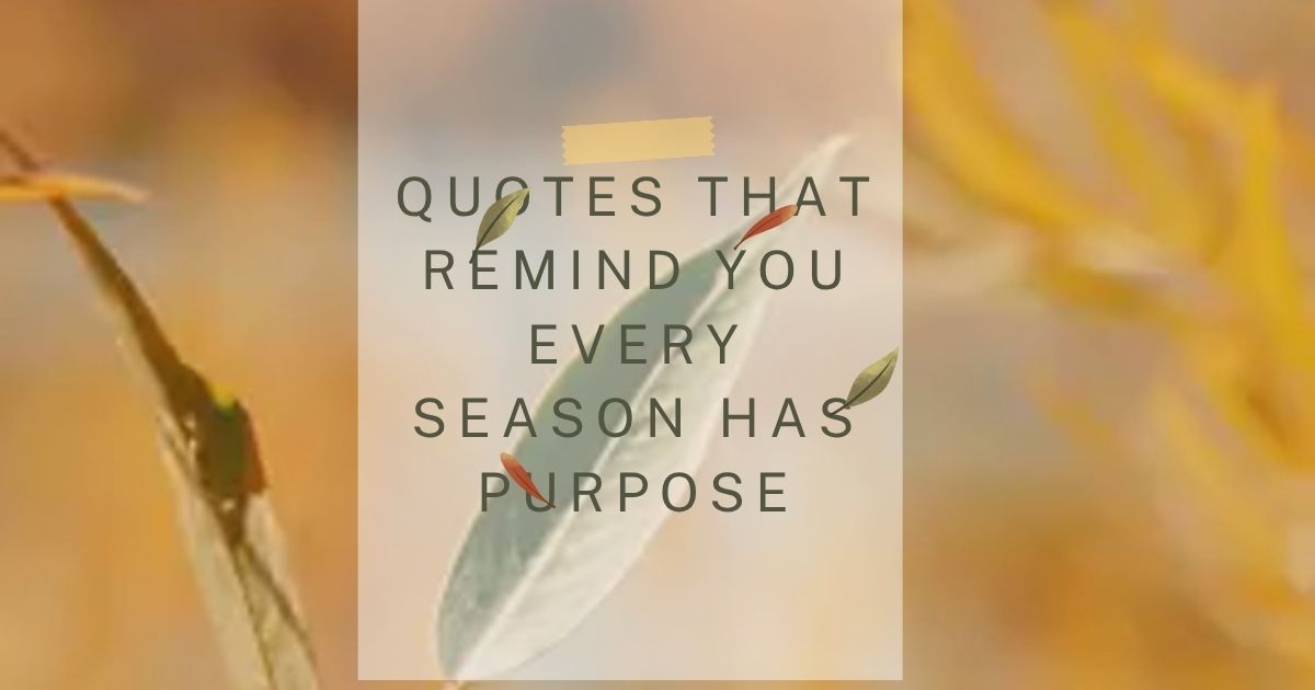 100+ Seasons Change Quotes to Inspire Growth and Courage - Quotes Creations