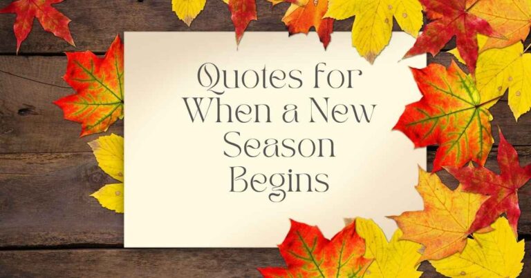 100+ Seasons Change Quotes to Inspire Growth and Courage - Quotes Creations